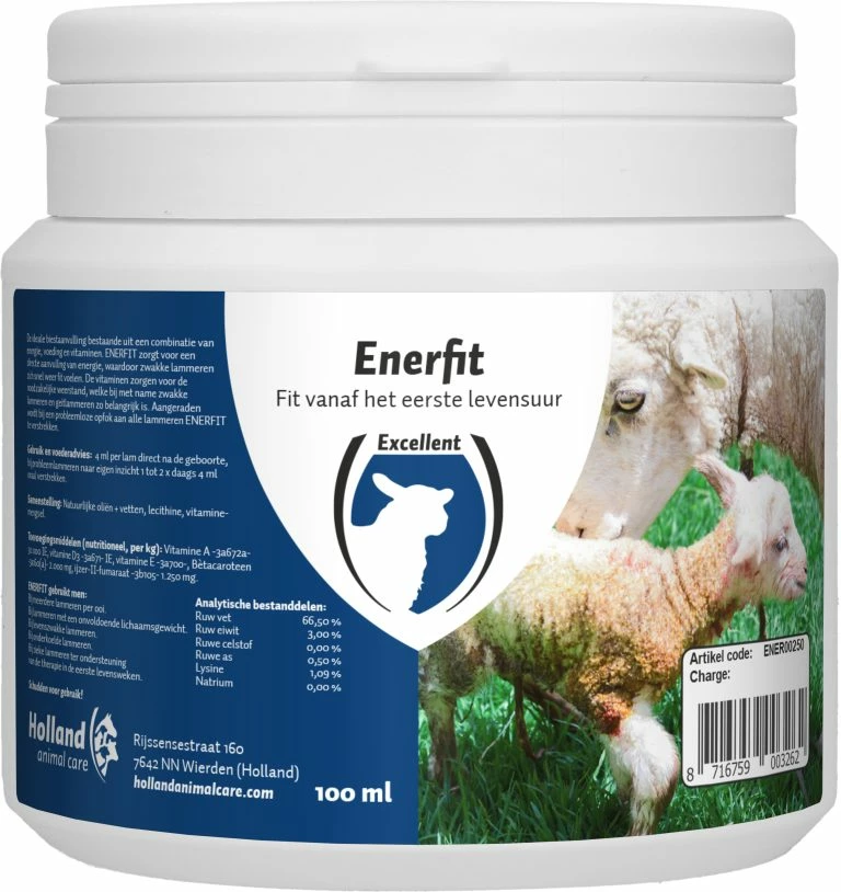 Perfect for daily use | Buy Euro Joe Enerfit Lam/geit Online at Best Price